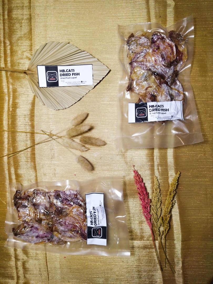Dried Pusit (Tuyo Pusit Lapad) 100grams by HB.Cats, Food & Drinks ...