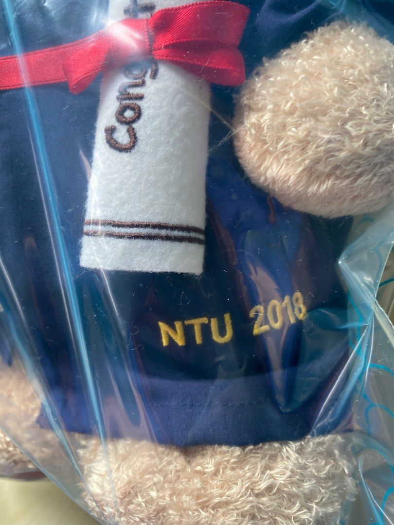 Graduation Bear NTU 2018, Hobbies & Toys, Memorabilia & Collectibles ...