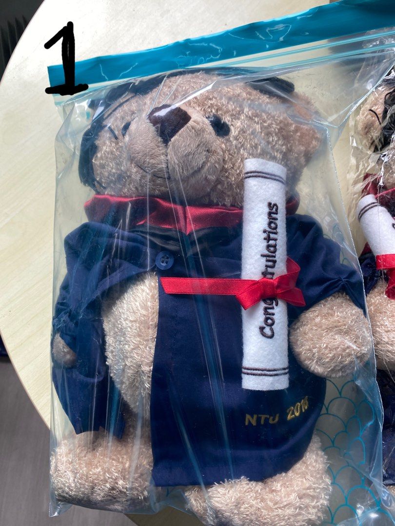 Graduation Bear NTU 2018, Hobbies & Toys, Memorabilia & Collectibles ...