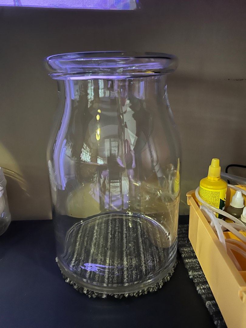 IKEA case Begarlig, Furniture & Home Living, Home Decor, Vases ...