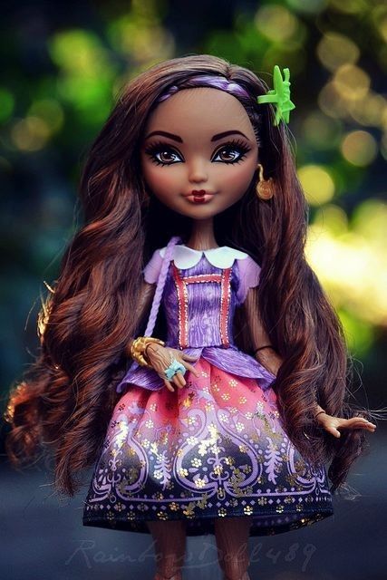 LF/ISO: ever after high basic cedar wood, Hobbies & Toys, Toys & Games ...