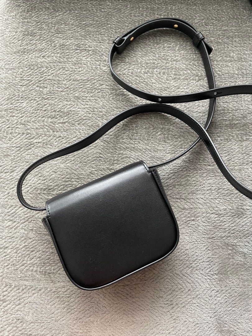 Mini Triomphe Shiny Calf Skin, Luxury, Bags & Wallets on Carousell