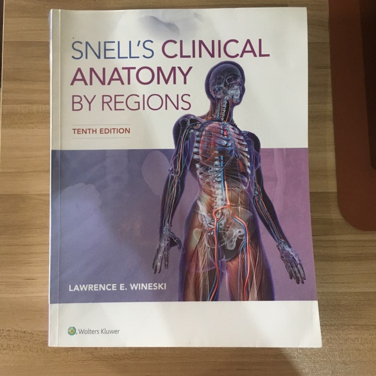 ORIGINAL Snell's Clinical Anatomy by Regions 10th Edition - UST FMS ...