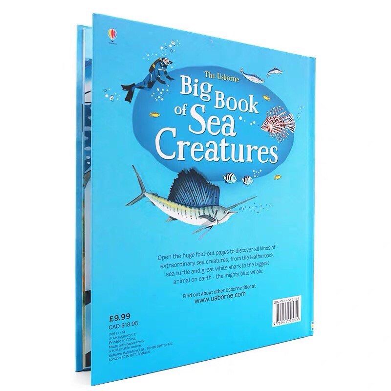 Original Usborne The Big Book if Sea Creatures Children Picture Book ...