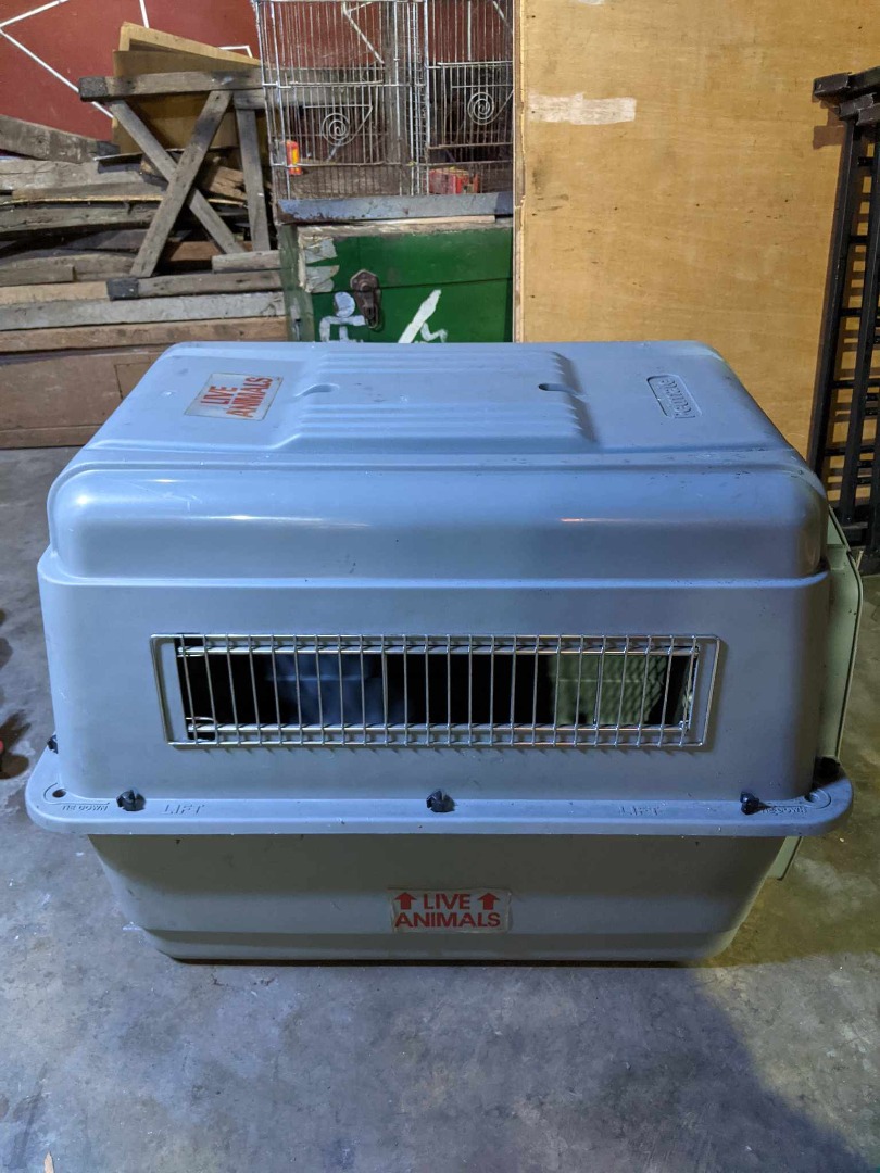 Petmate Sky Kennel, Pet Supplies, Homes & Other Pet Accessories on ... Petmate Sky Kennel, Pet Supplies, Homes & Other Pet Accessories on ...