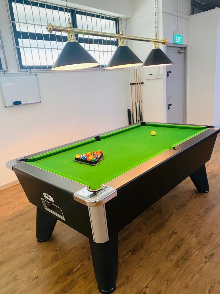Professional Pool Table -DPT - pristine condition, Sports Equipment ...