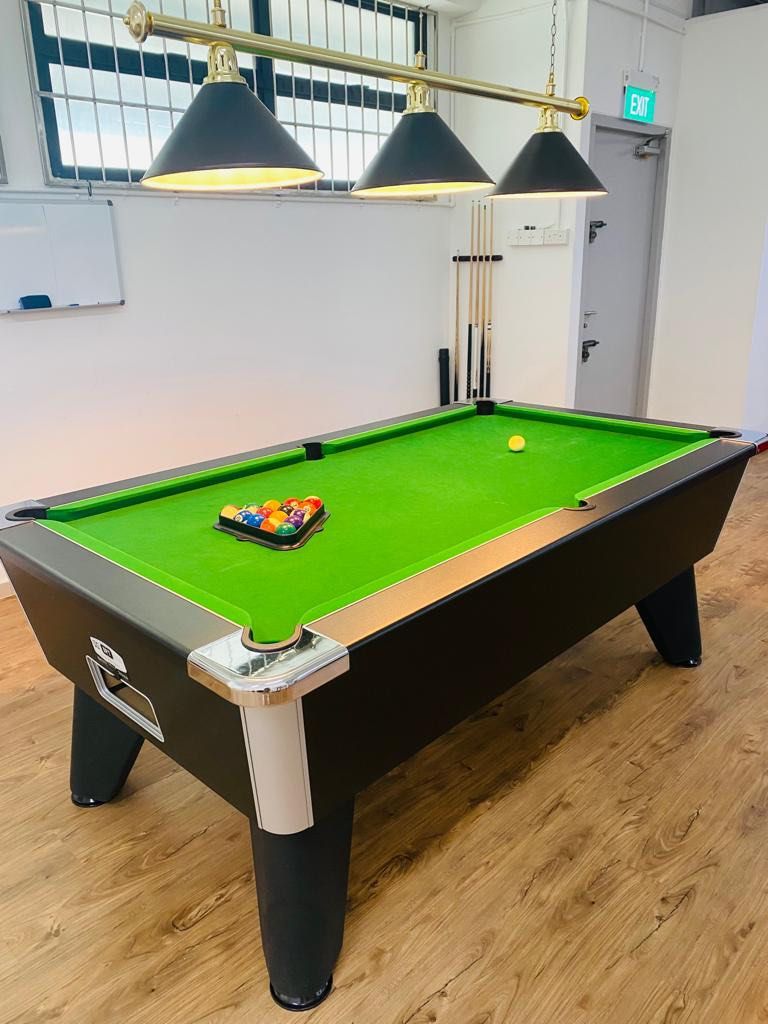 Professional Pool Table -DPT - pristine condition, Sports Equipment ...