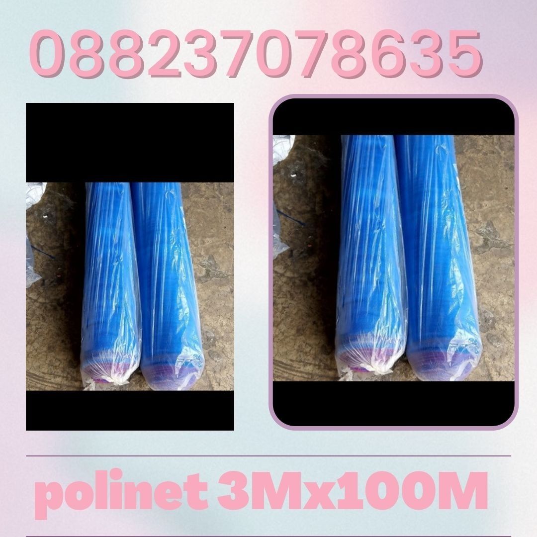 Pusat penjualan polinet buah surabaya, Produsen polinet buah surabaya ...