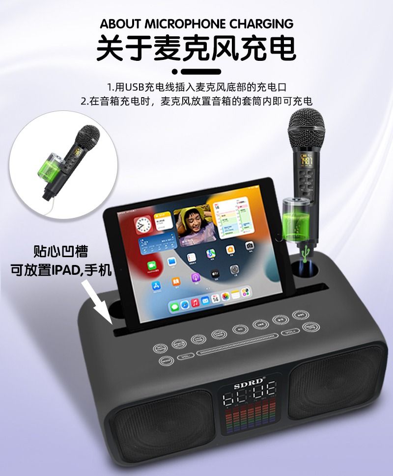 【SG Seller】Truslink Portable Home KTV Kit with Wireless Dual Microphone ...