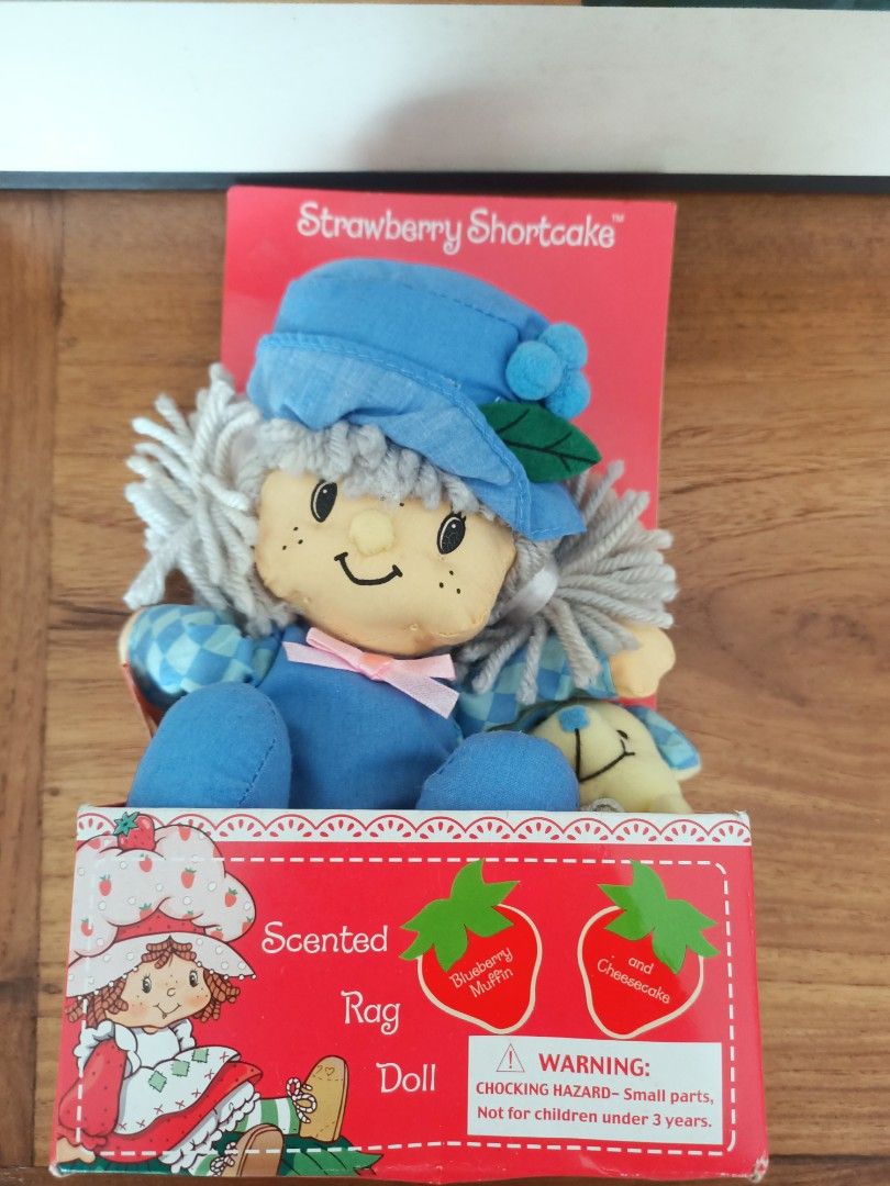 Strawberry Shortcake Scented Rag Doll, Hobbies & Toys, Toys & Games on ...