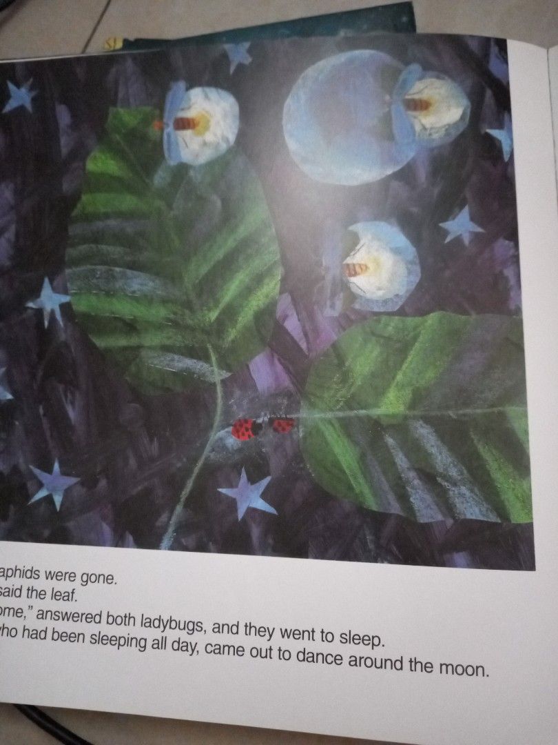The Grouchy Ladybug by Eric Carle, Hobbies & Toys, Books & Magazines ...