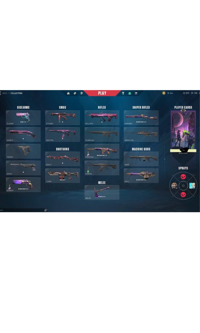 valorant neo frontier bundle, Video Gaming, Gaming Accessories, Game ...