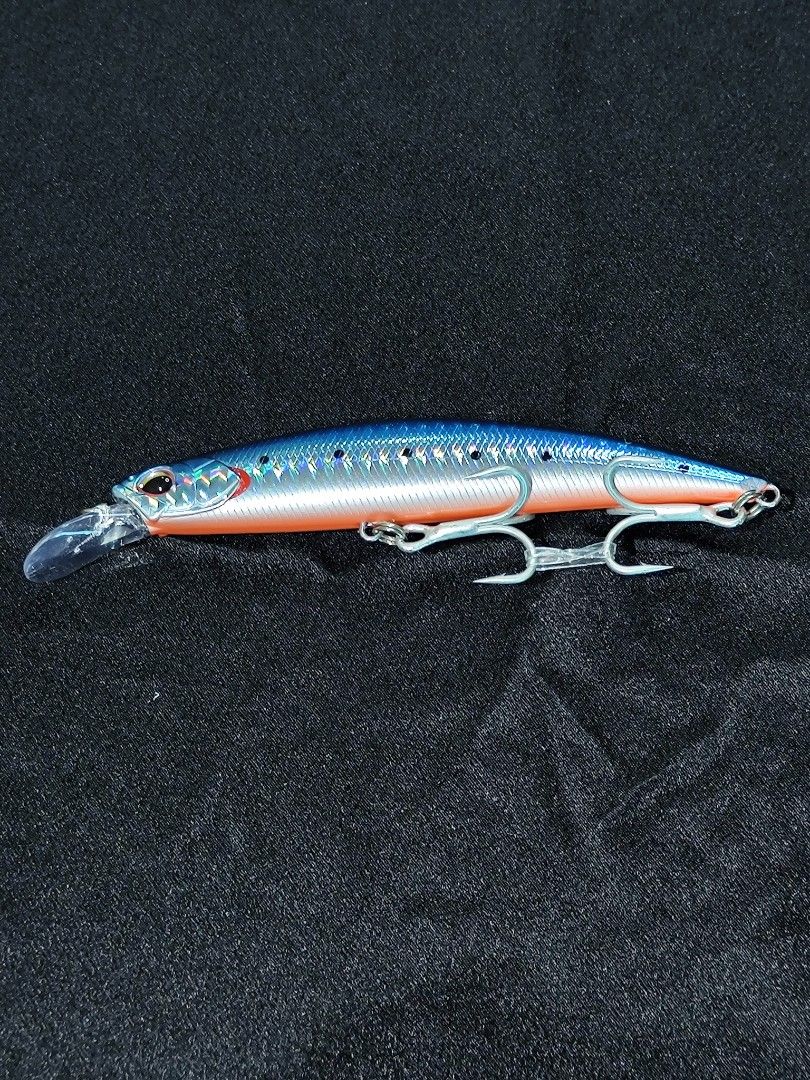 27g Sinking Minnow Lure, Sports Equipment, Fishing on Carousell