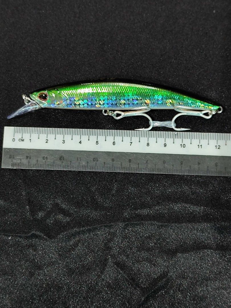 27g Sinking Minnow Lure, Sports Equipment, Fishing on Carousell