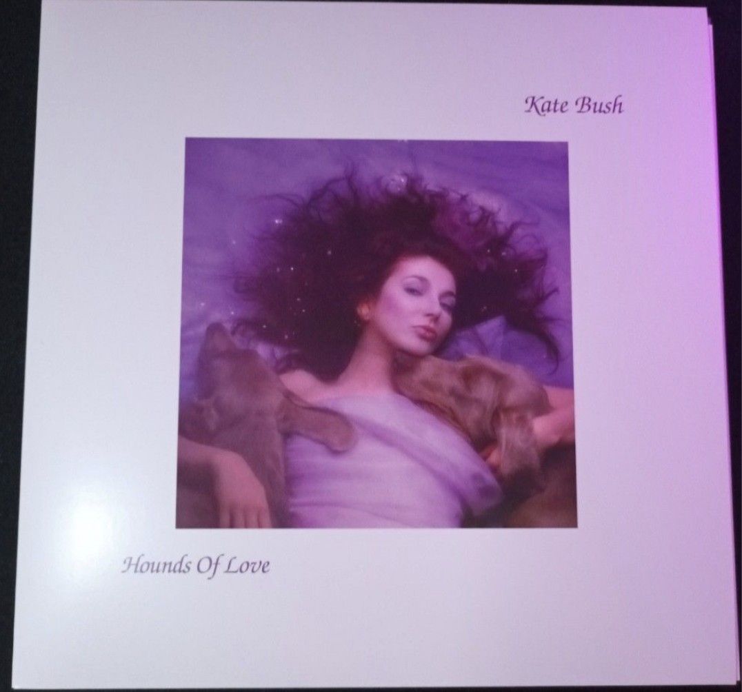 [Box Set] Kate Bush Vinyl LP - Remastered in Vinyl 2, Hobbies & Toys ...