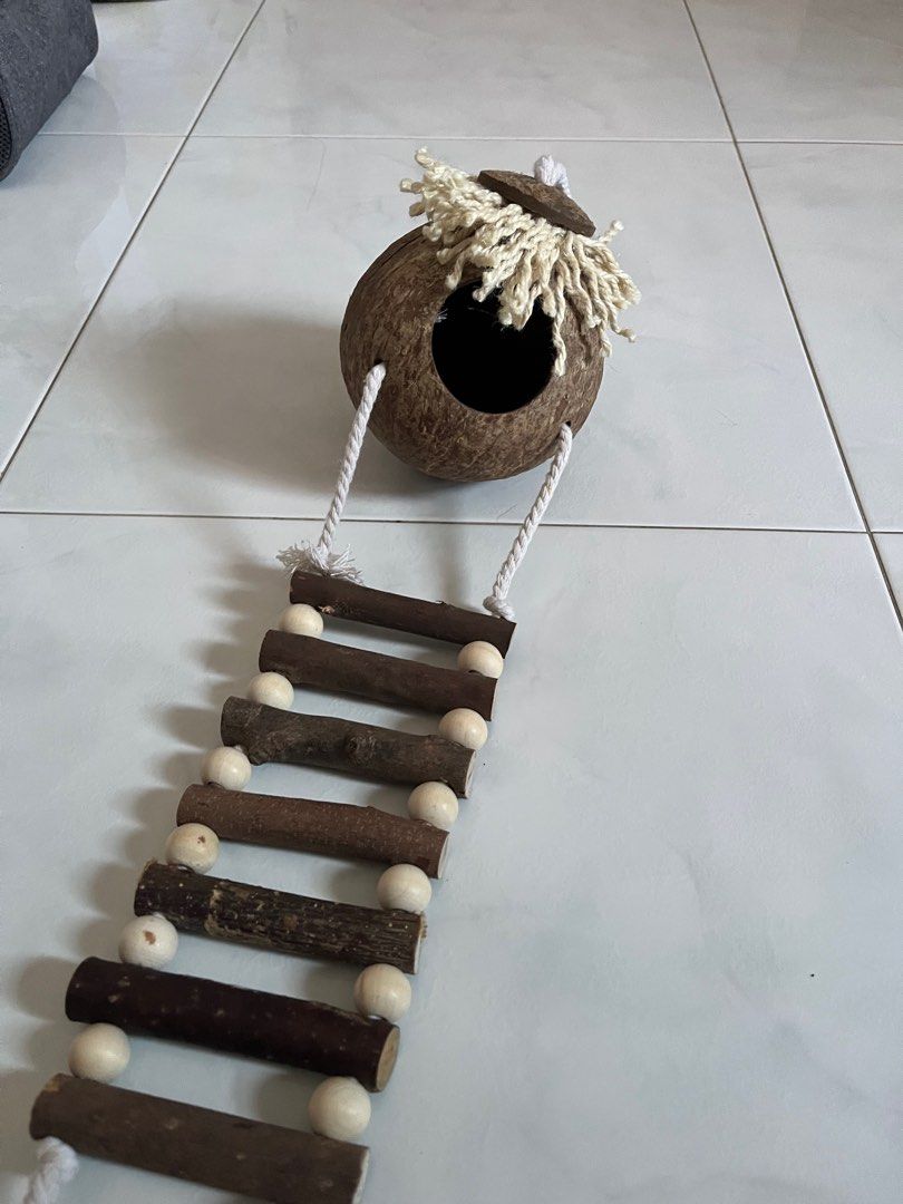 Coconut House with Ladder, Pet Supplies, Homes & Other Pet Accessories ...