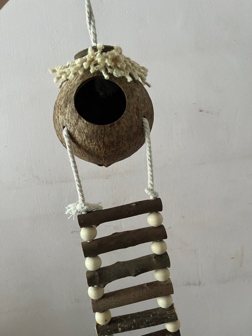 Coconut House with Ladder, Pet Supplies, Homes & Other Pet Accessories ...