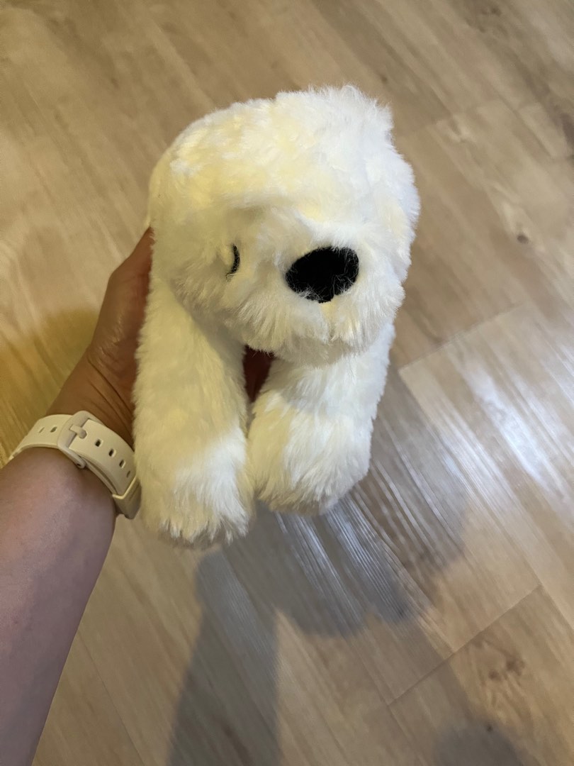 Fun Claw Baby Polar Bear plushy soft toy, Hobbies & Toys, Toys & Games ...
