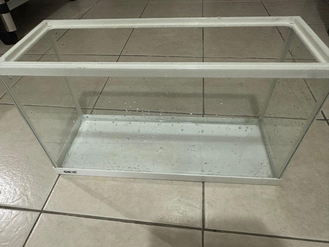 Gex tank 60 cm, Pet Supplies, Homes & Other Pet Accessories on Carousell