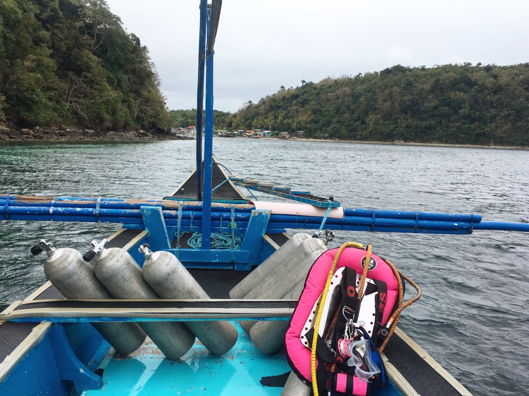 IC: Pink OMS BCD with 6lbs backplate on Carousell