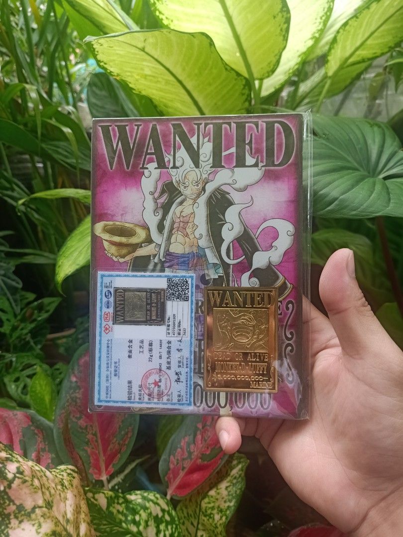 Monkey D Luffy Gear 5 Printed in fiber glass w/gold card intact and ...