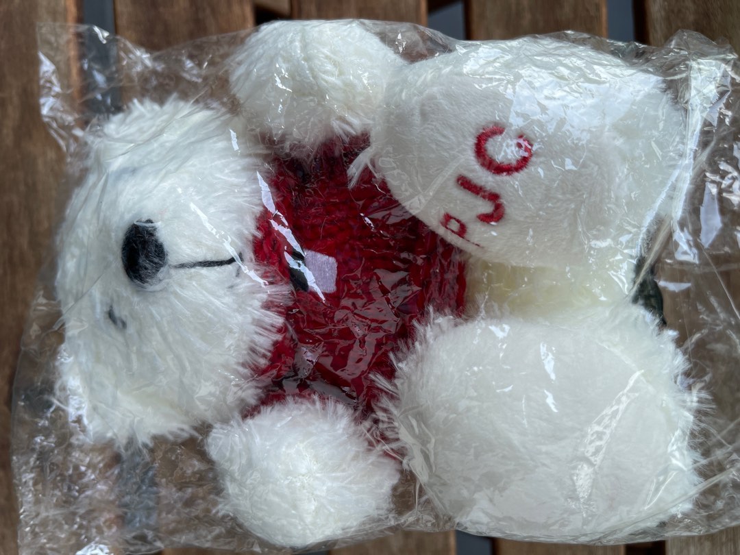 Pioneer JC bear PJC, TV & Home Appliances, TV & Entertainment, Entertainment Systems & Smart ...