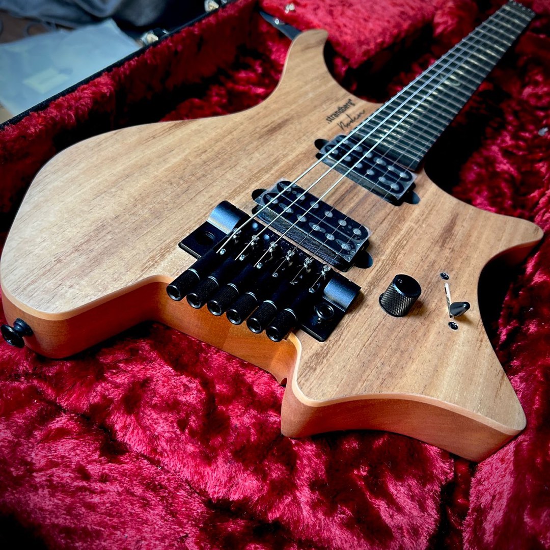 Strandberg Prog Plini 6, Hobbies & Toys, Music & Media, Musical ...