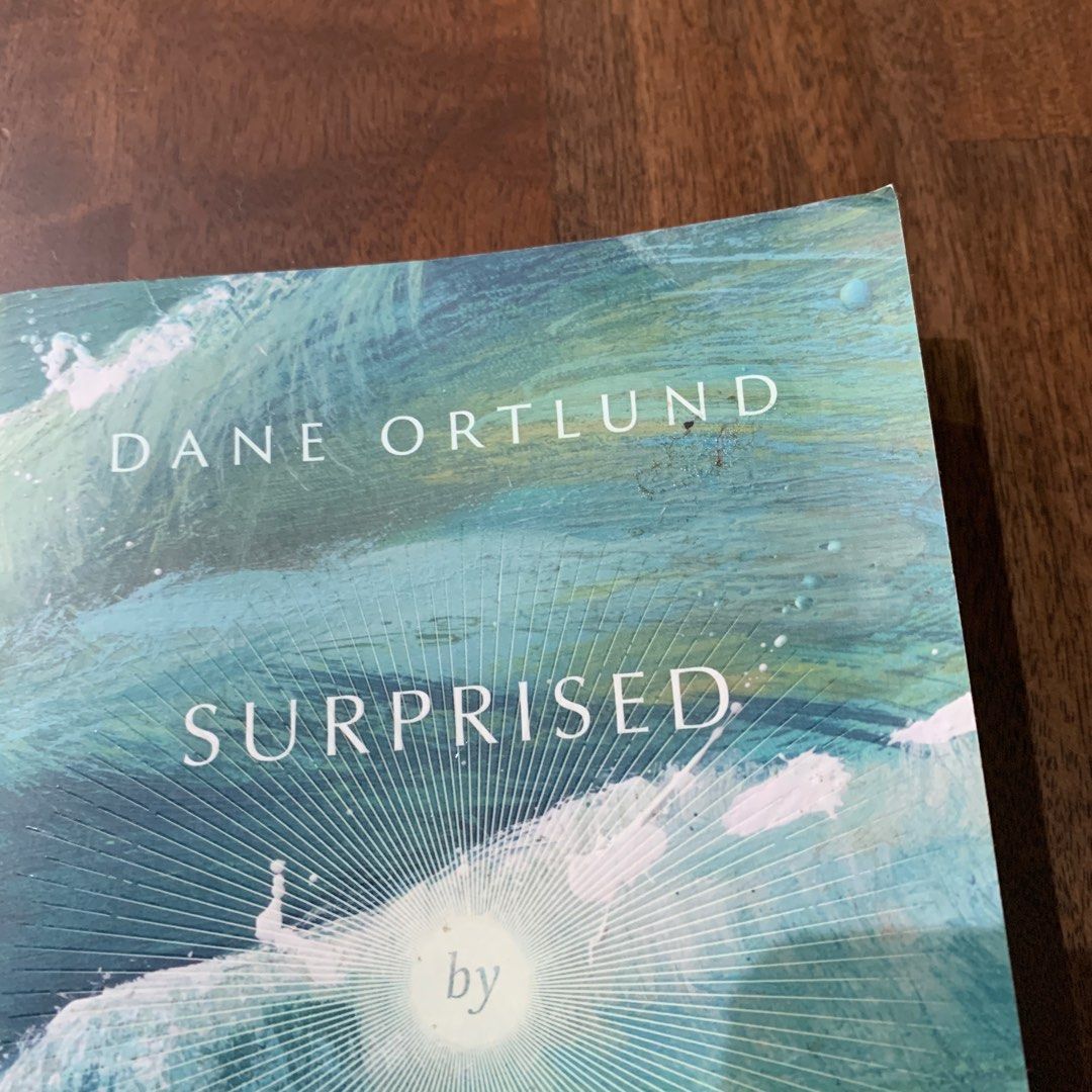 Surprised by Jesus - Dane Ortlund, Hobbies & Toys, Books & Magazines ...