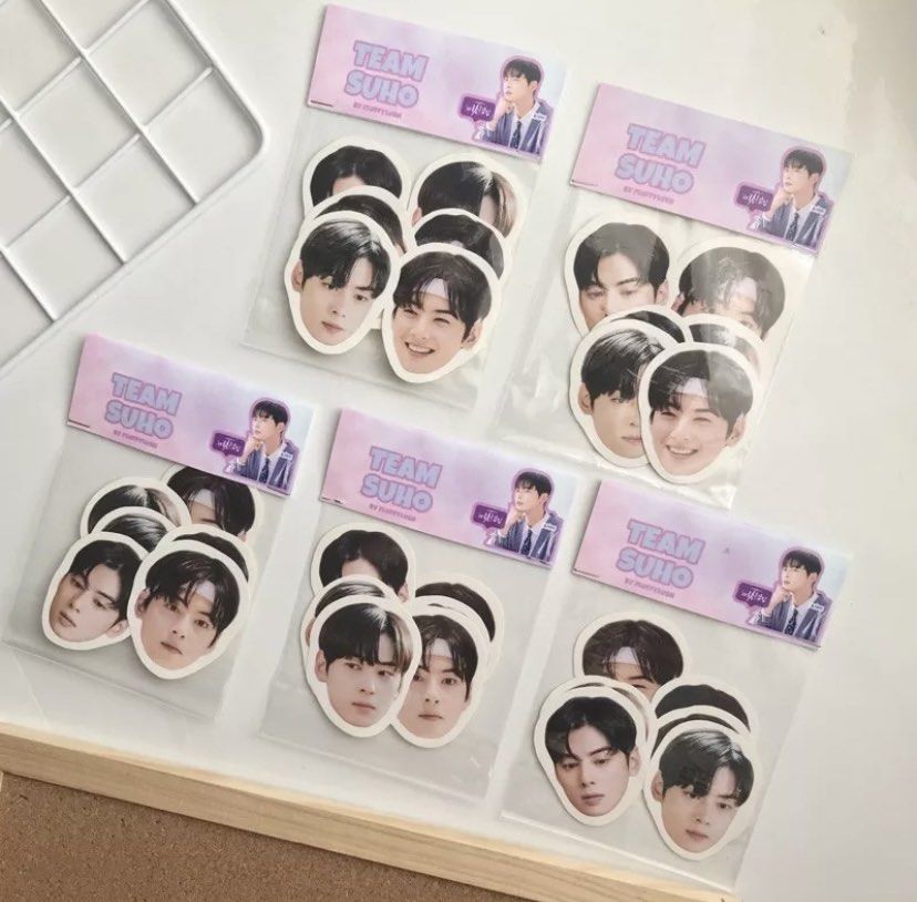 TRUE BEAUTY FANMADE- STICKERS #TEAMSUHO Cha eun woo Astro, Hobbies ...
