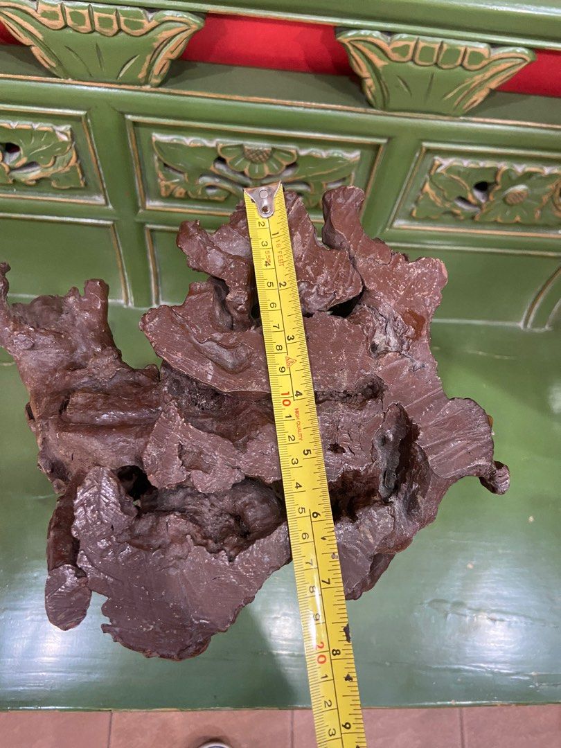 Vintage Tree Roots Stand, Hobbies & Toys, Memorabilia & Collectibles ...