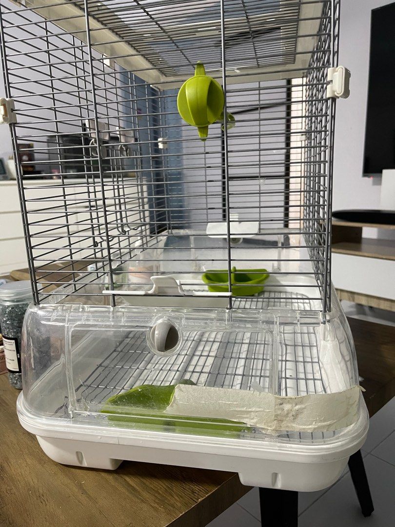 Vision Bird cage, Pet Supplies, Homes & Other Pet Accessories on Carousell