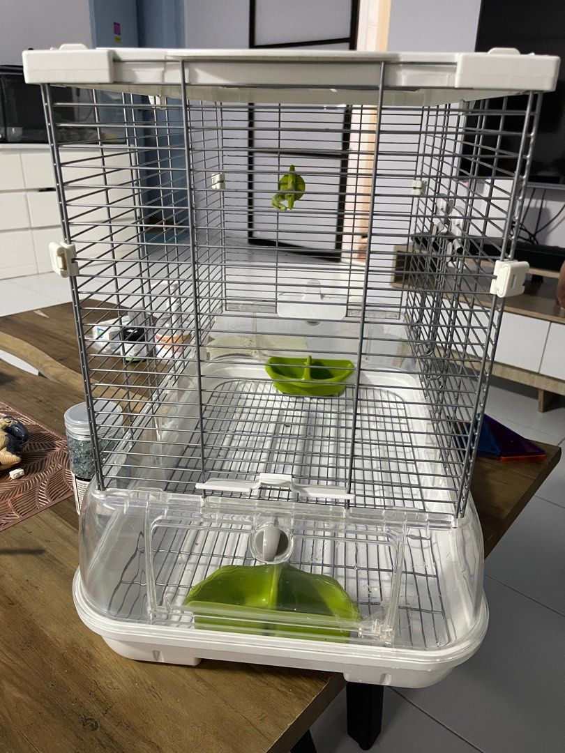 Vision Bird cage, Pet Supplies, Homes & Other Pet Accessories on Carousell
