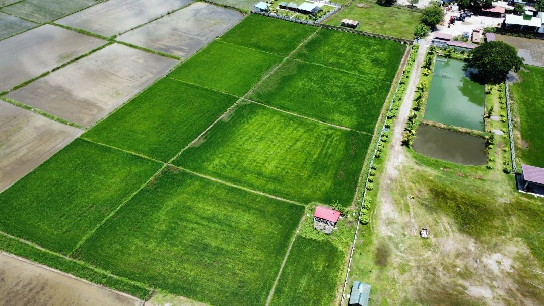 1.2 Hectares of Farm Lot in Lubao Pampanga on Carousell