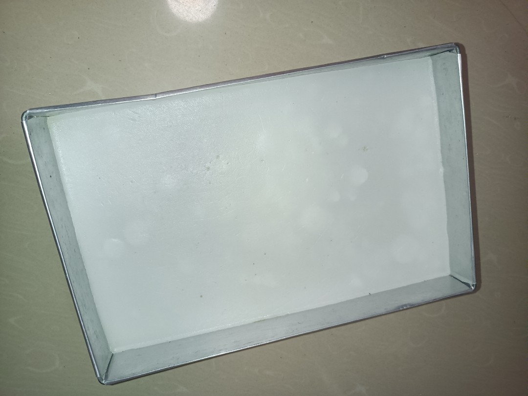 DISSECTING PAN, Hobbies & Toys, Stationary & Craft, Stationery & School ...