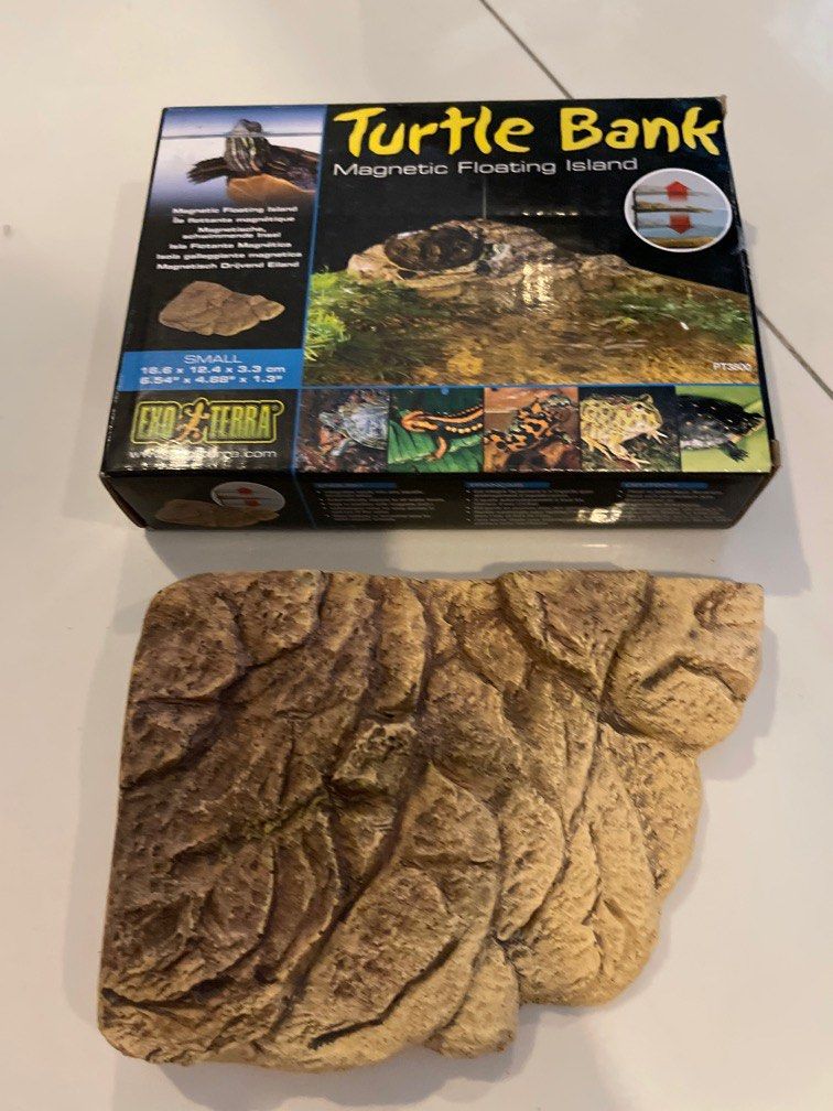 Exo Terra turtle bank and thermometer, Pet Supplies, Homes & Other Pet ...