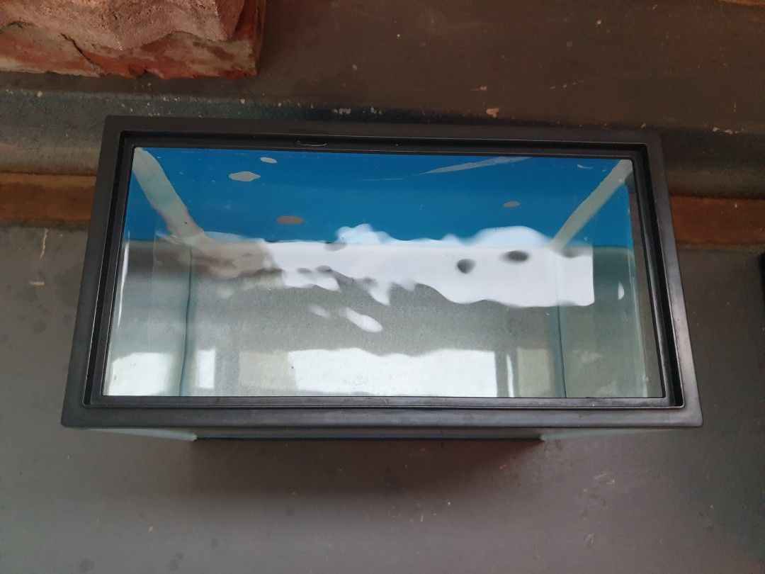 1 feet Fish tank, Pet Supplies, Homes & Other Pet Accessories on Carousell
