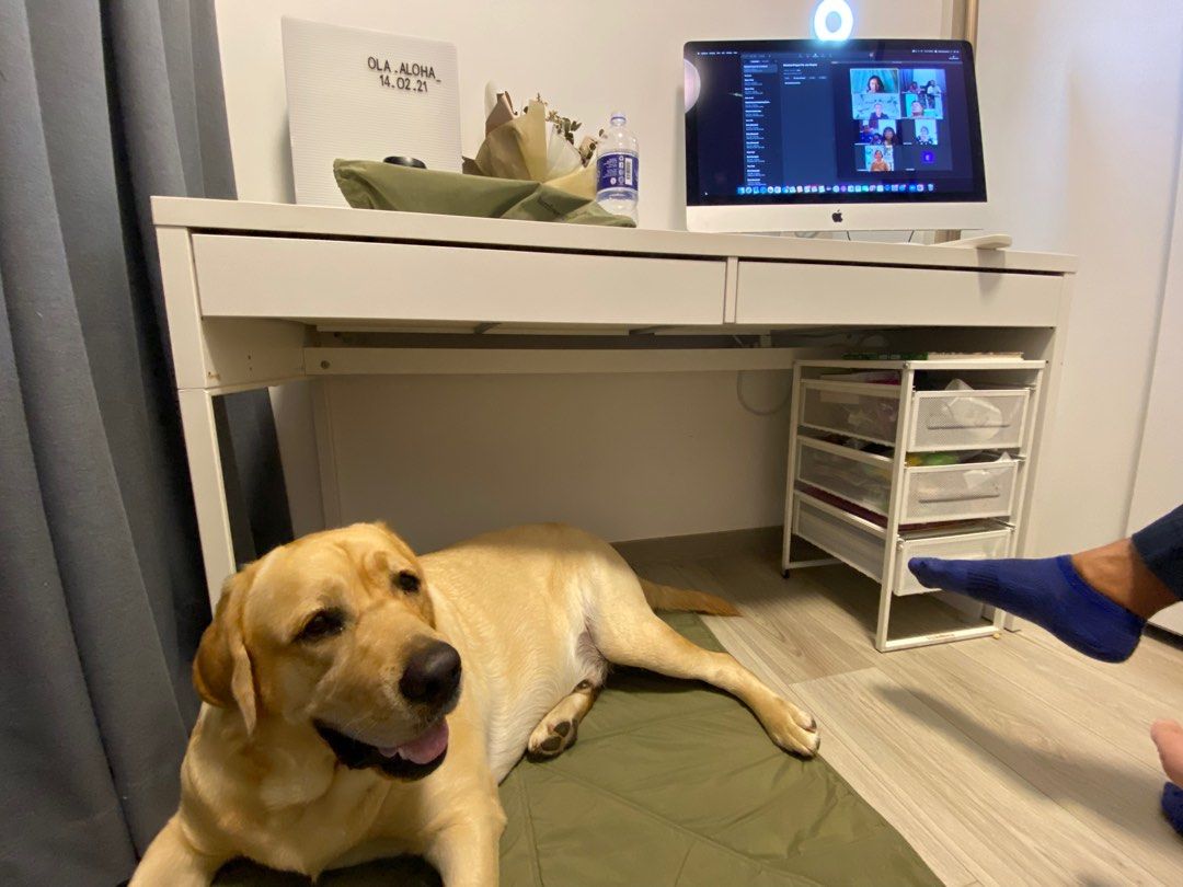 IKEA COMPUTER TABLE WITH DRAWERS on Carousell