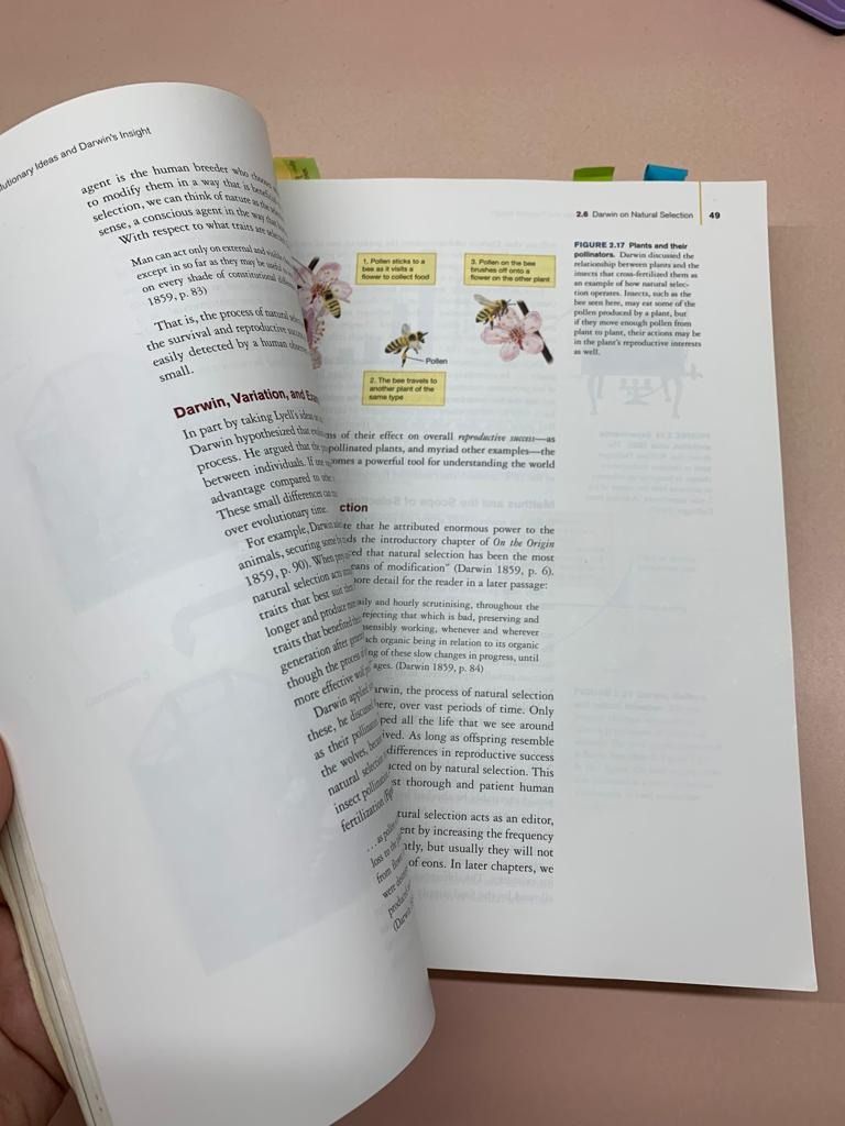LSM2107/ LSM1105 Evolutionary Biology textbook, Hobbies & Toys, Books ...