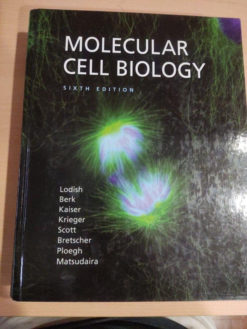 Molecular Cell Biology, Hobbies & Toys, Books & Magazines, Textbooks on ...