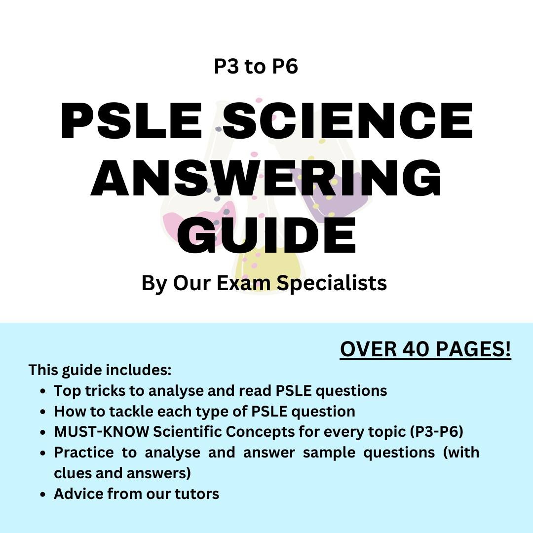 PSLE Science Answering Guide (Notes | Summary | Tips & Tricks), Hobbies ...
