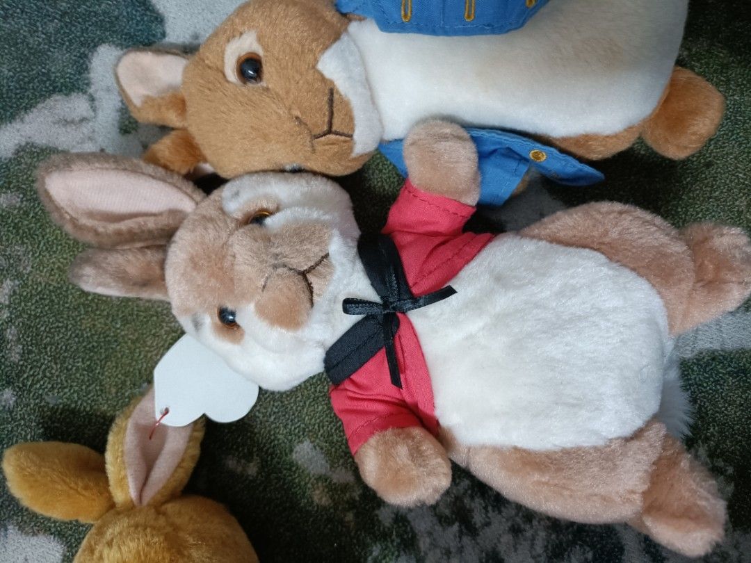TY Peter Rabbit Flopsy, Hobbies & Toys, Toys & Games on Carousell