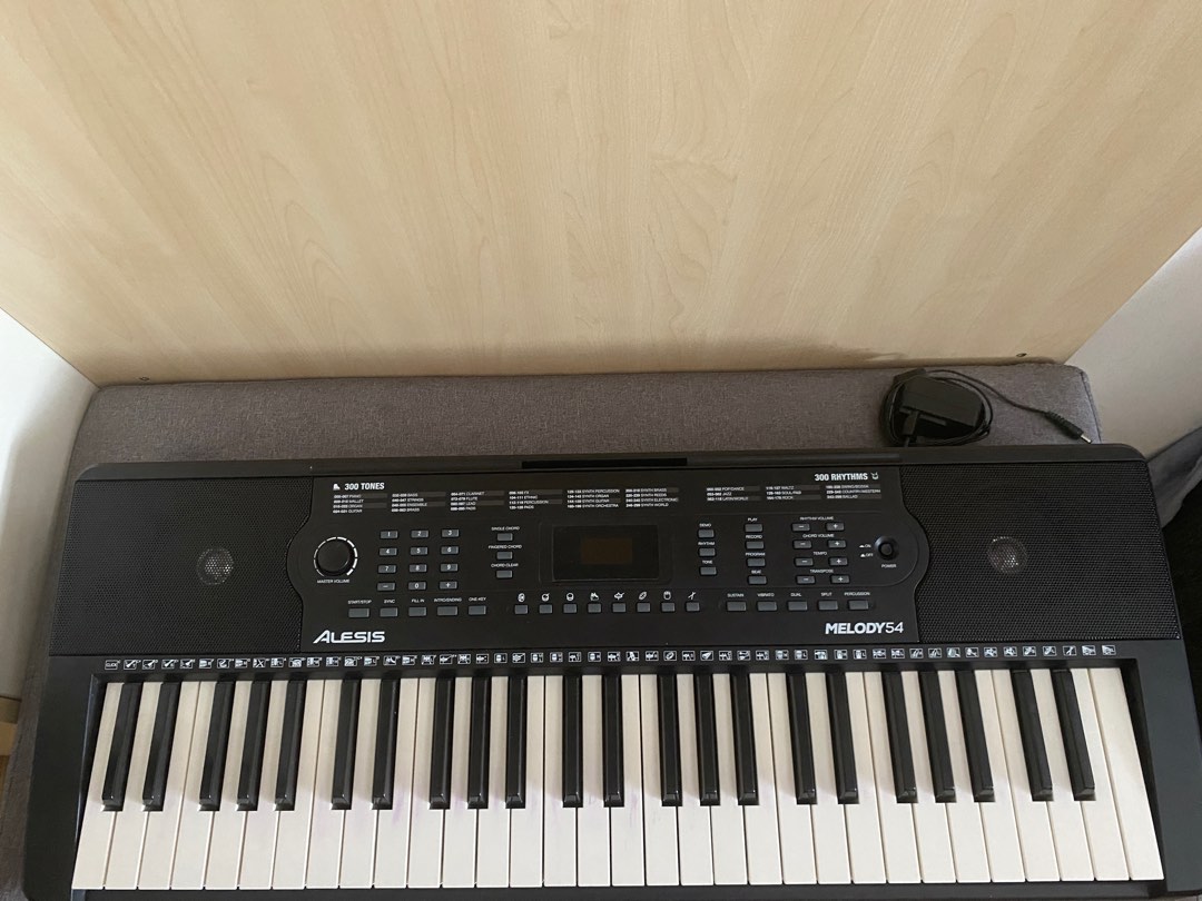 ALESIS MELODY54 Keyboard Piano 54 Keys with FREE BAG (slightly ...