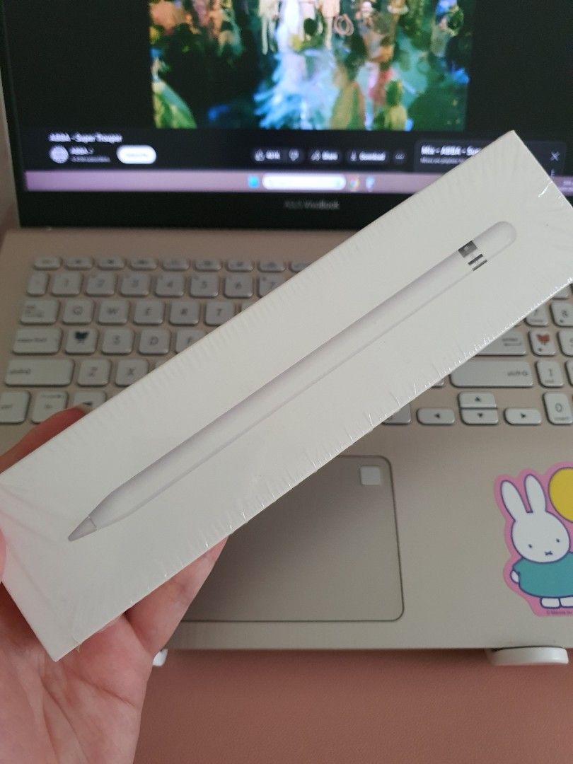 ORIGINAL Apple Gen 1 pencil, Computers & Tech, Laptops & Notebooks on ...