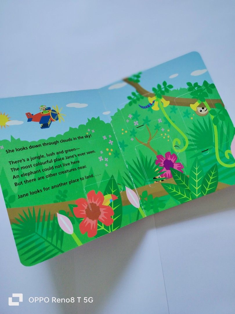 Baby Einstein Lift the Flap Fun Book - Jane's Animal Expedition ...