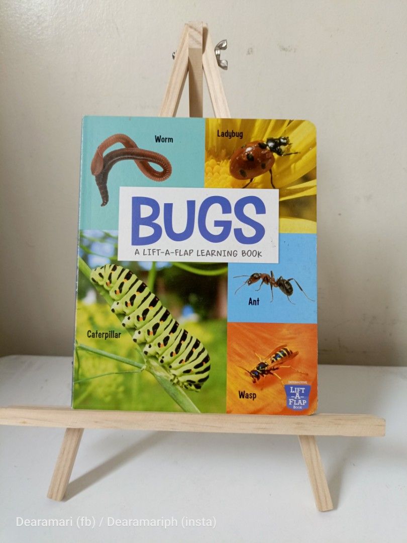 Bugs - A boardbook, lift-the-flap Concept Book, Hobbies & Toys, Books ...