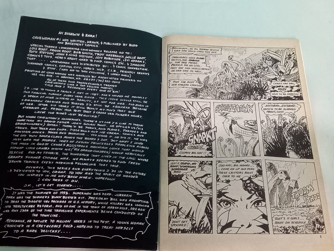 Cavewoman #1 The Prehistoric Premiere Special Collectors Issue by Budd ...