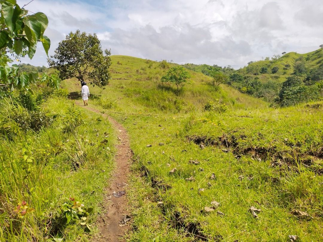 Farm Lot for sale 34 hectares along the river and barangay road with ...