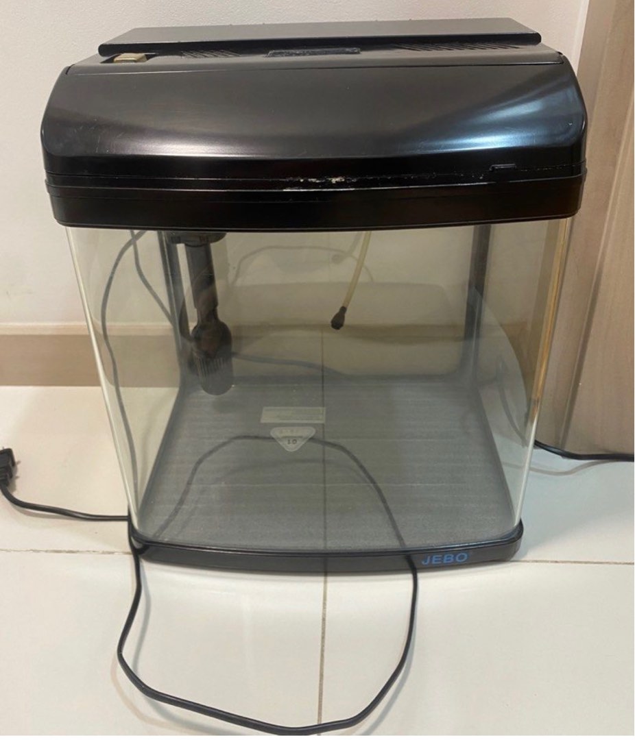 Fish tank, Pet Supplies, Homes & Other Pet Accessories on Carousell