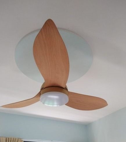 (Installation Promo) BESTAR RAPTOR/RAZOR ceiling fan with light 33/38 ...