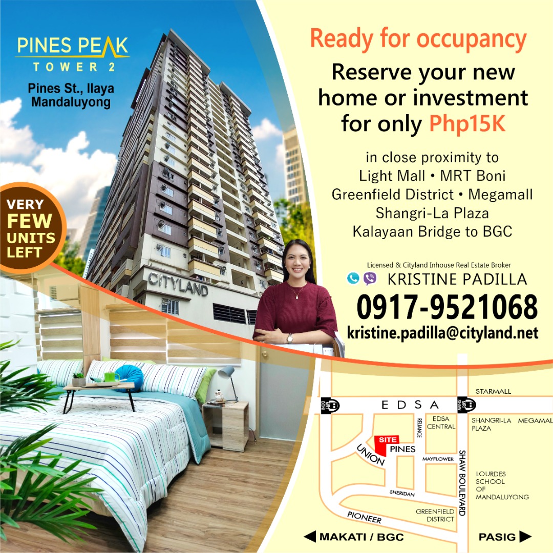 Mandaluyong condo Cityland PINES PEAK TOWER 2 RFO, Property, For Sale ...